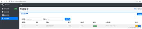 流量回放框架jvm sandbox repeater的实践【入门使用篇】1 repeater安装与启动 初尝repeater console