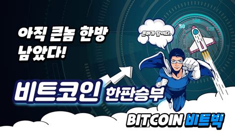 비트코인 바닥 확인하러 갑니다 막차 올라타고 돈복사 시작 Youtube