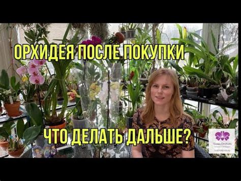 Орхидея после покупки. Что делать дальше? - YouTube