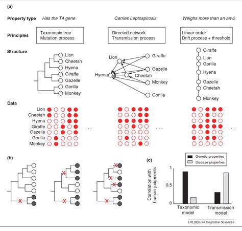 figure 3 from theory based bayesian models of inductive learning and