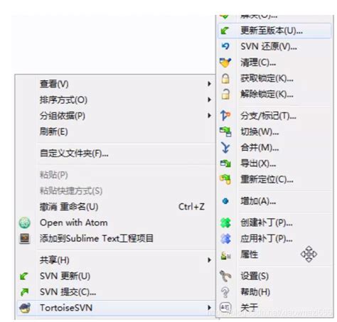 svn版本控制软件 svncmgrsetup csdn博客
