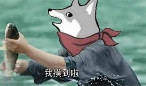 Nested Wilson Loop 知乎