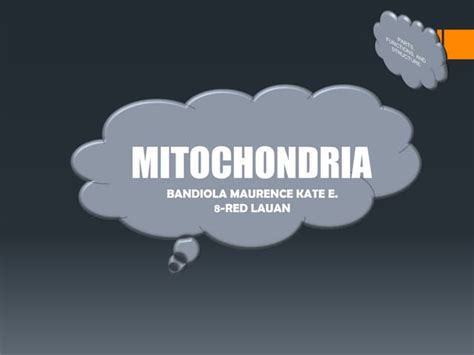 Biology 1 Qtr 2 Lesson 4 Structure Of Mitochondriapptx