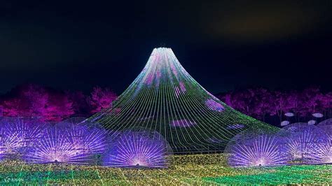 Sakura Magic And Nabana No Sato 1day Bus Tour From Osaka Klook United