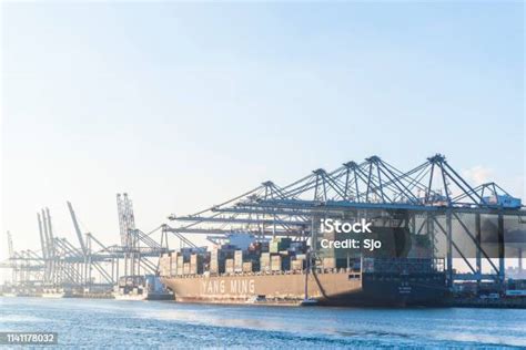 로테르 담 항구의 컨테이너 터미널에서 화물 컨테이너 발송 0명에 대한 스톡 사진 및 기타 이미지 0명 Gantry Crane 강 Istock