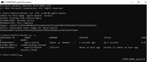 windows 下 docker 与 vmware 共存 ml gearye的博客 csdn博客 vm和docker同时安装