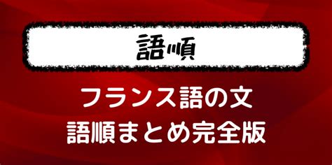 【文型】フランス語の語順についてポイントを解説【否定・二重目的語・中間代名詞】 フランス語学習ライオンさん