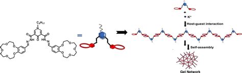 A Supramolecular Gel That Exhibits Multi‐stimuli Responsiveness And