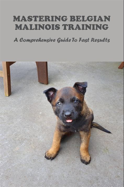 Mastering The Pronunciation Of Malinois A Comprehensive Guide Xvibjx