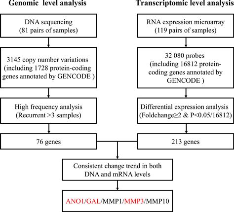 Integrated Analysis Of Genomic And Transcriptomic Profiles Identified A