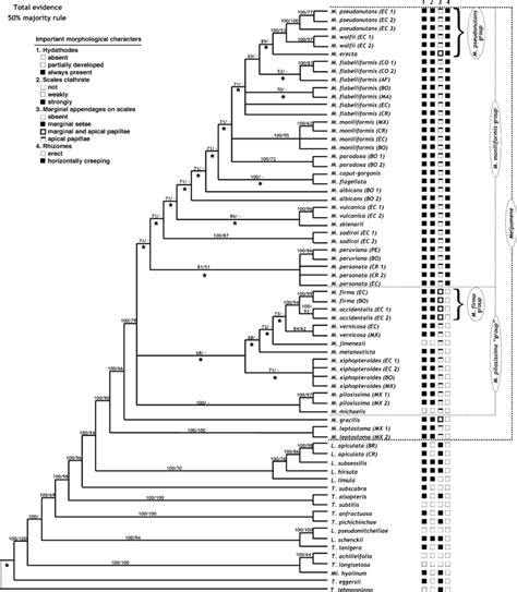 Total Evidence 50 Majority Rule Consensus Tree From Maximum Parsimony