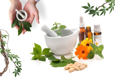 What Is Phytotherapy