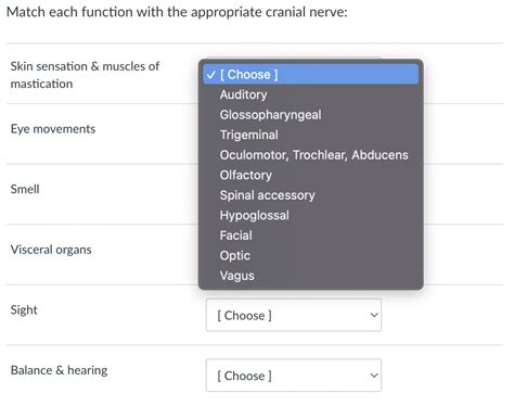 Solved Match Each Function With The Appropriate Cranial Chegg Com