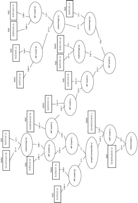 Decision Tree Of Important Features For Spm Classification Using The