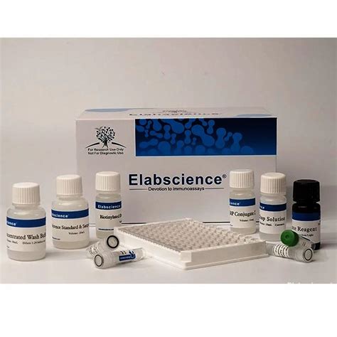 Elabscience Human Il 6 Elisa Kit At ₹ 5000 Kit In Faridabad Id 2850953473148