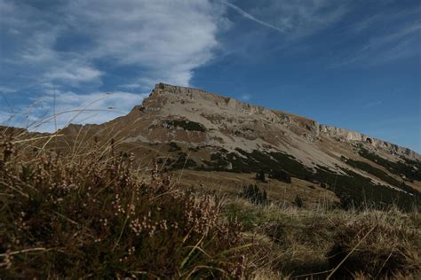 농촌의 들판 시골 야외에서 언덕 저녁 하늘 집 풍경에 관한 무료 스톡 사진