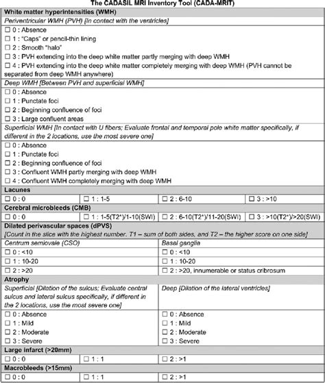 Cadasil Imaging Inventory Download Scientific Diagram