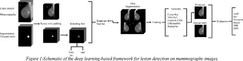 Figure From Comparative Analysis Of Deep Learning Methods For Lesion Detection On Full