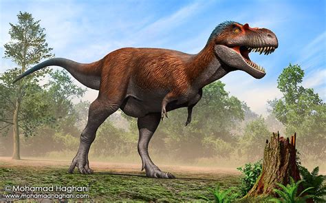 Albertosaurus In The Wild Ausgestorbene Tiere Dinosaurier Kunst