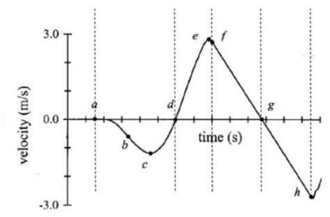 Solved 7 ﻿ In A Vertical Jump Shown Below There Is A