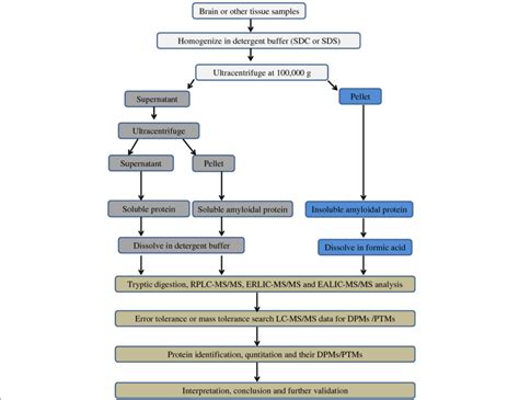 Solubility Flowchart