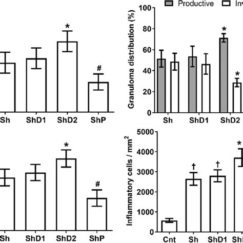 Granuloma Number And Volume Distribution Of Granulomas According The
