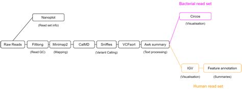 Long Read Structural Variant Calling Bioinformatics Documentation