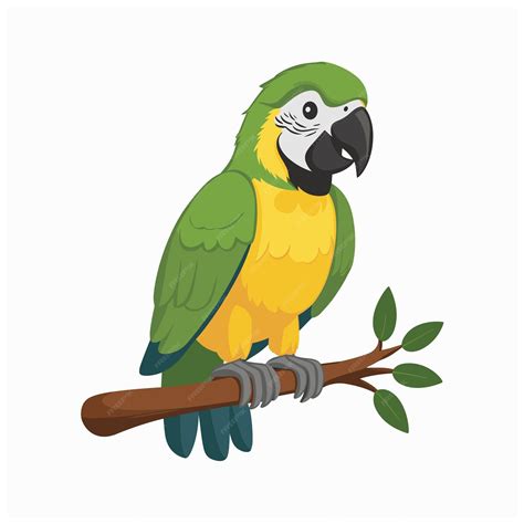Premium Vector Set Of Cute Parrot Cartoon Collection Isolated On White Background