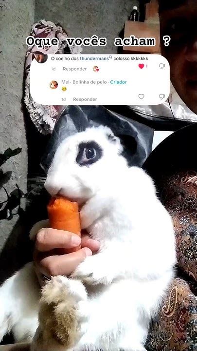 She Thought It Looked Like The Rabbit The Thundermans🤔 Rabbit Fypシ゚