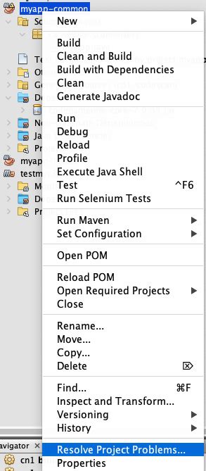 Codenameone How Can I Correctly Install The Extend Qrscanner Stack