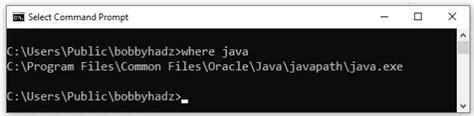 mvn is not recognized as an internal or external command bobbyhadz