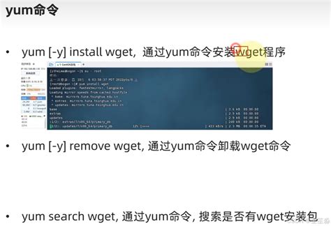 使用yum为centos系统安装软件以及使用（包含阿里云yum源配置）yum阿里云 Csdn博客