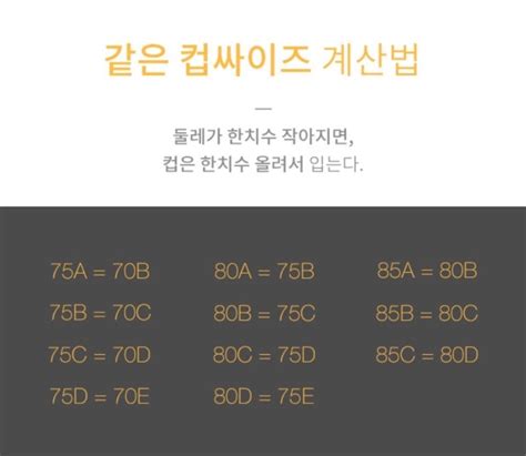가슴사이즈 재는법 브라 사이즈표 가슴 사이즈 컵 크기 가슴둘레 네이버 블로그