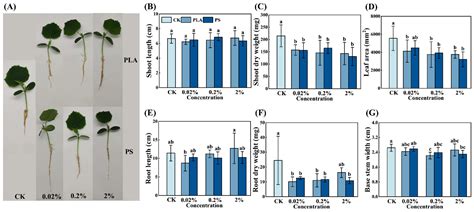Agriculture Free Full Text The Degradability Of Microplastics May