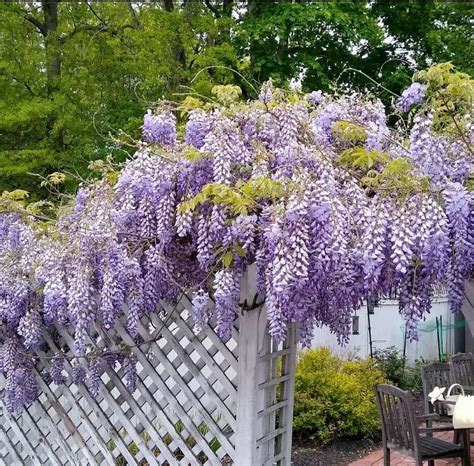 coder different programming language ‼️‼️ coder facebook