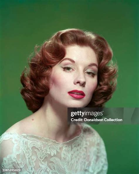 Suzy Parker Photos Photos And Premium High Res Pictures Getty Images