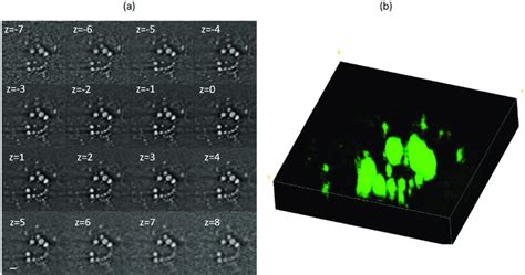 Srs Z Stack For 3d Volume Reconstruction Of Lipids A Single