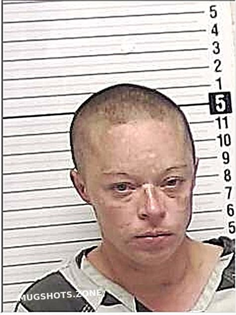 Shaffer Sarah Jo 04 01 2025 Bay County Mugshots Zone