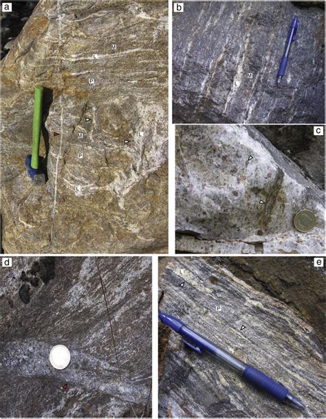 Field Appearance Of The Mylonitic A D And Porphyroblastic E G Download Scientific Diagram