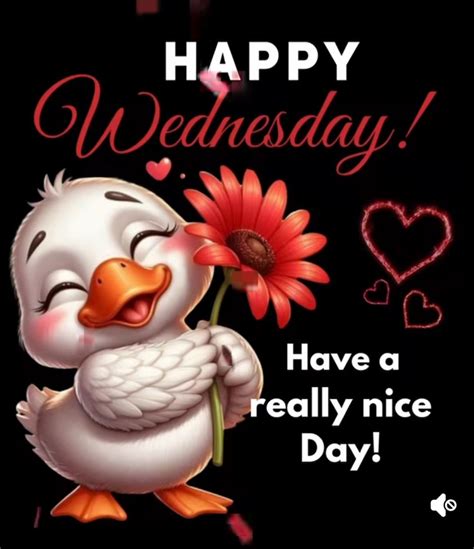 Happy Wednesday Images
