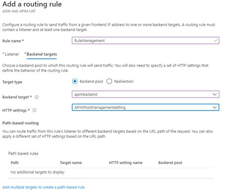 Publish The New Azure API Management Service Developer Portal Behind An Application Gateway