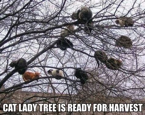 Blue Eyed Beauty 28th May 2015