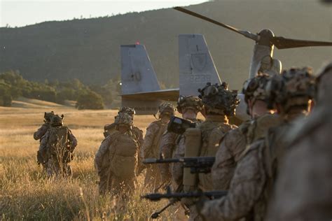 What Is Marine Infantry
