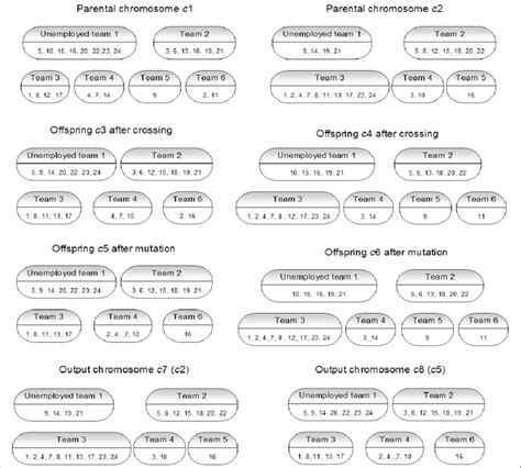 Reconstruction Of Programmer Teams By Genetic Operations Download Scientific Diagram