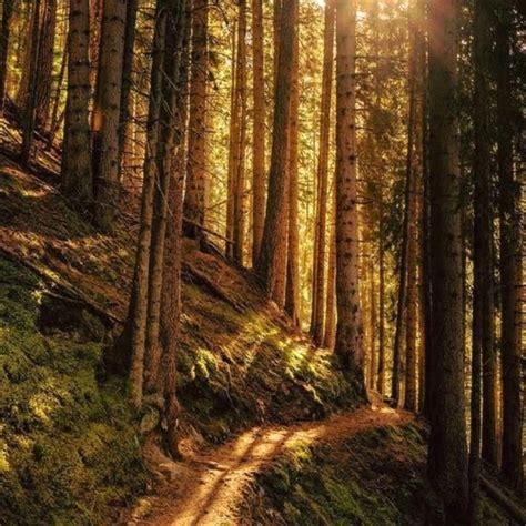 A Profound Lesson In Purposeful Growth An Iima Professor Recently Shared A Compelling Story In