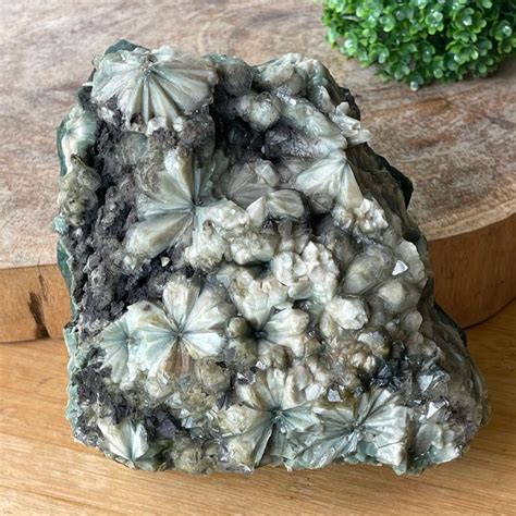Ocean Jasper Statement 44 Pound Raw Chunk With Quartz And Cluster