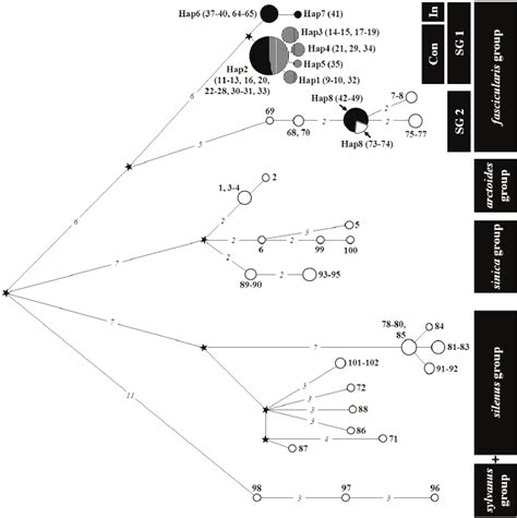 Median Joining Network Constructed Using The Haplotype Data Of Macaca