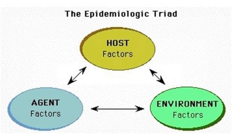 Nes Crop Pests Flashcards Quizlet