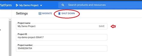 Choosing A Project Name And ID For GCP Prwatech