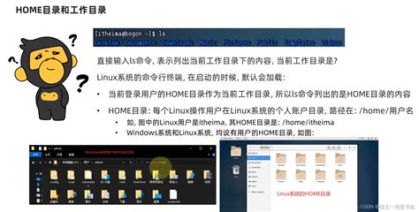 Linux基础学习之目录结构ls命令